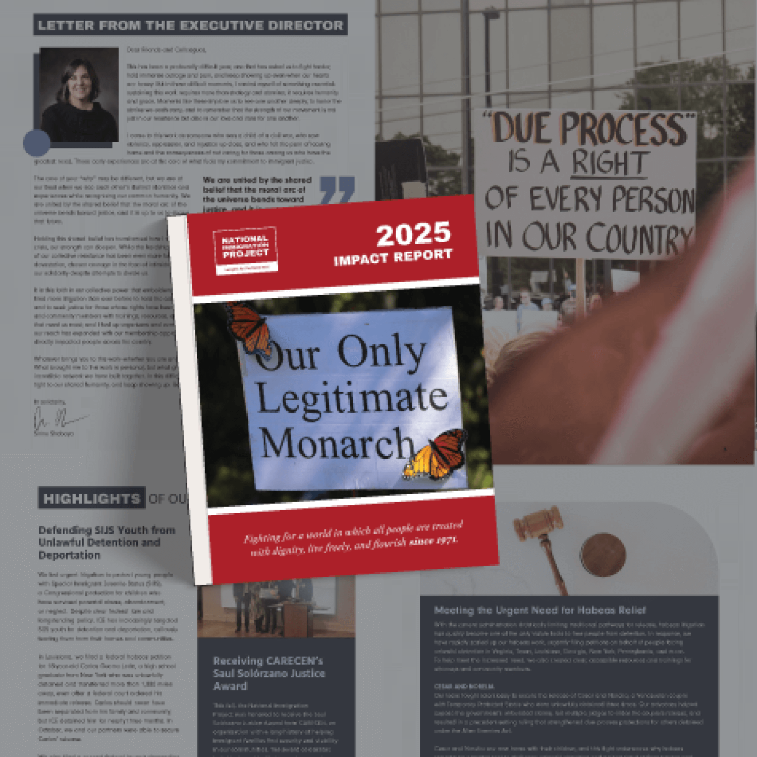 National Immigration Project | Lawyers for the Movement